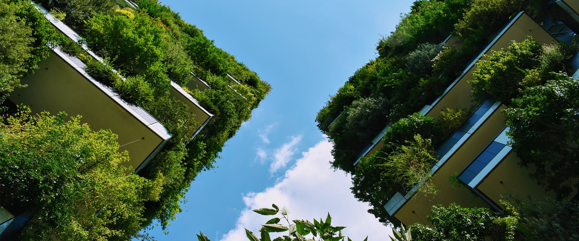 Green Building Retrofitting: A Comprehensive Guide